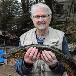 Reinbold-Novak Funeral HomeDorothy Rose | Reinbold-Novak Funeral Home